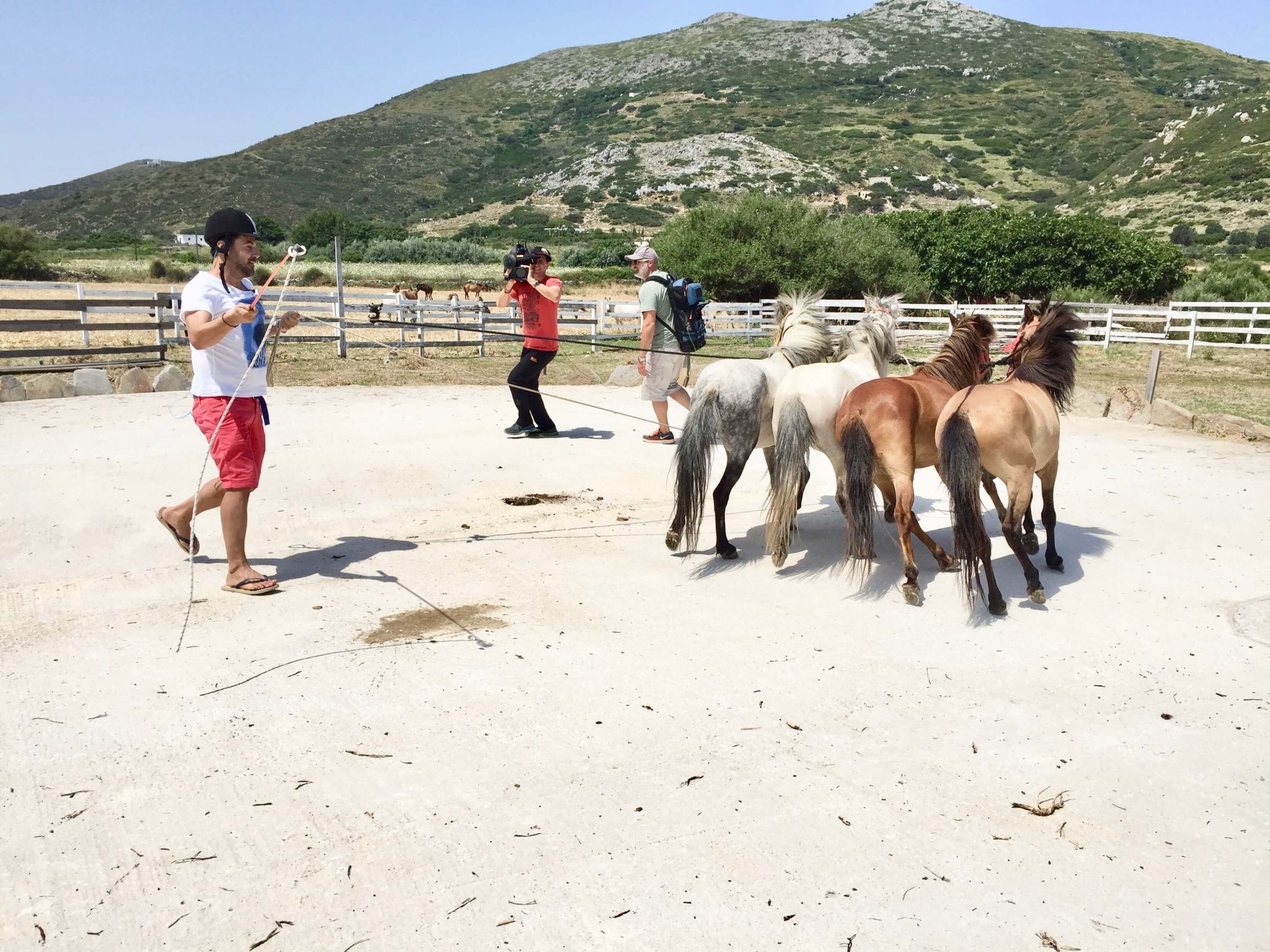 Σκύρος: Η δραματική συνάντηση με τα Σκυριανά Αλογάκια - we